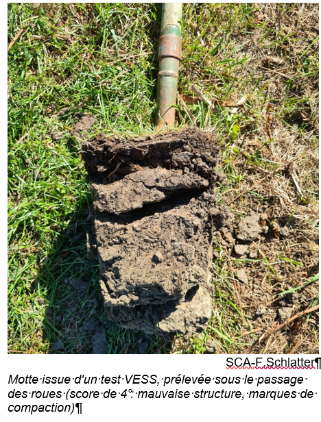 Evaluation des sols - - vs.ch