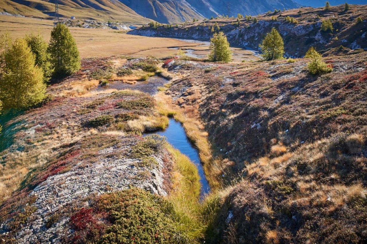 Parcours de l’eau - Un nouveau sentier didactique relie le Sanetsch aux ...
